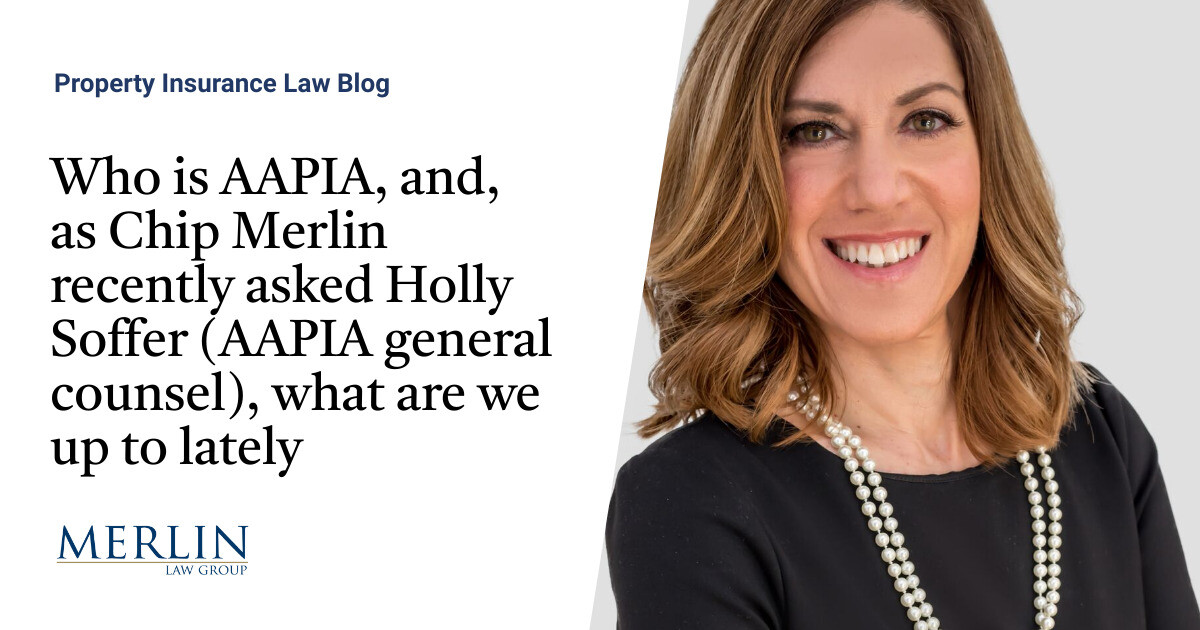 Who is AAPIA, and, as Chip Merlin recently asked Holly Soffer (AAPIA ...