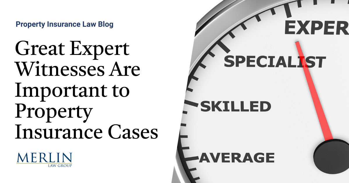 Great Expert Witnesses Are Important to Property Insurance Cases ...
