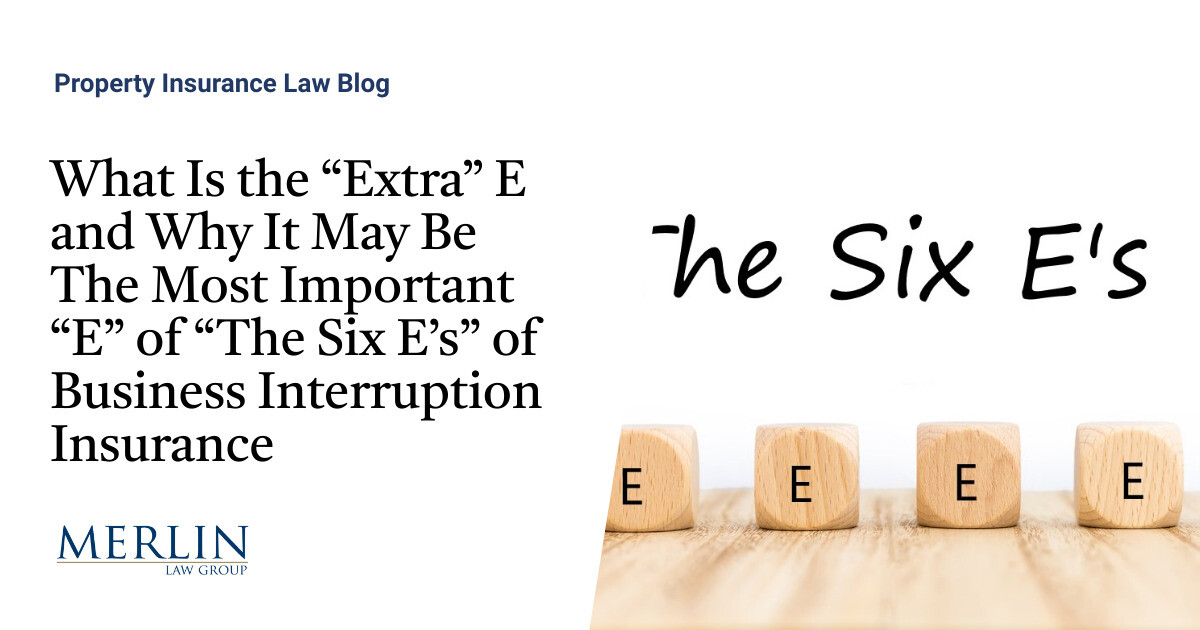 What Is the “Extra” E and Why It May Be The Most Important “E” of “The ...