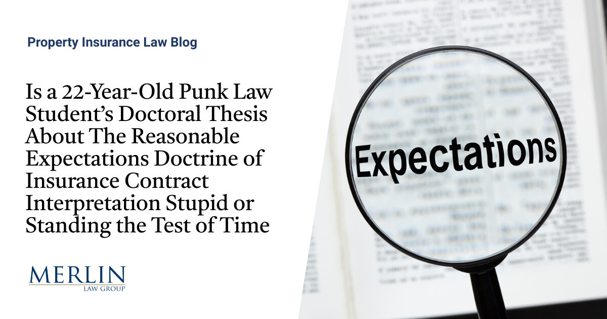 Is a 22-Year-Old Punk Law Student’s Doctoral Thesis About The ...