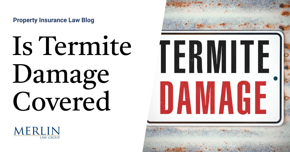 Is Termite Damage Covered | Property Insurance Coverage Law Blog
