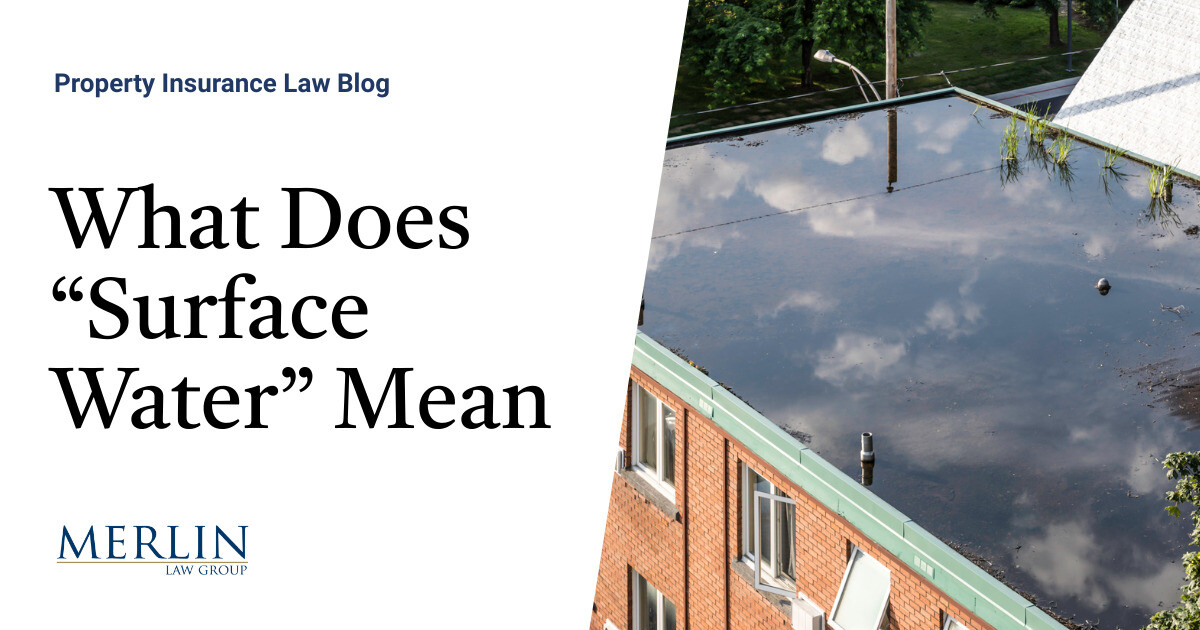 What Does “Surface Water” Mean? NAPIA Files an Amicus Brief in a Legal ...